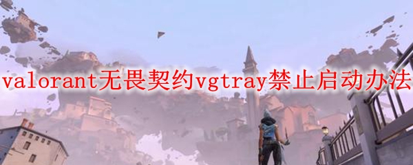 Vgtray